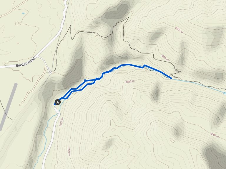 Catwalk National Recreation Trail — Gila National Forest | Wanderung ...